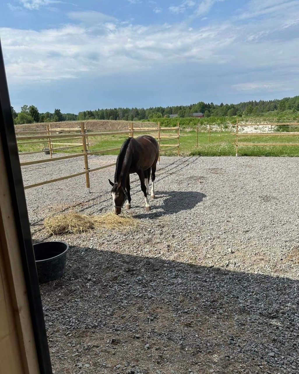 Ridhusstallet – Stall Ängeby